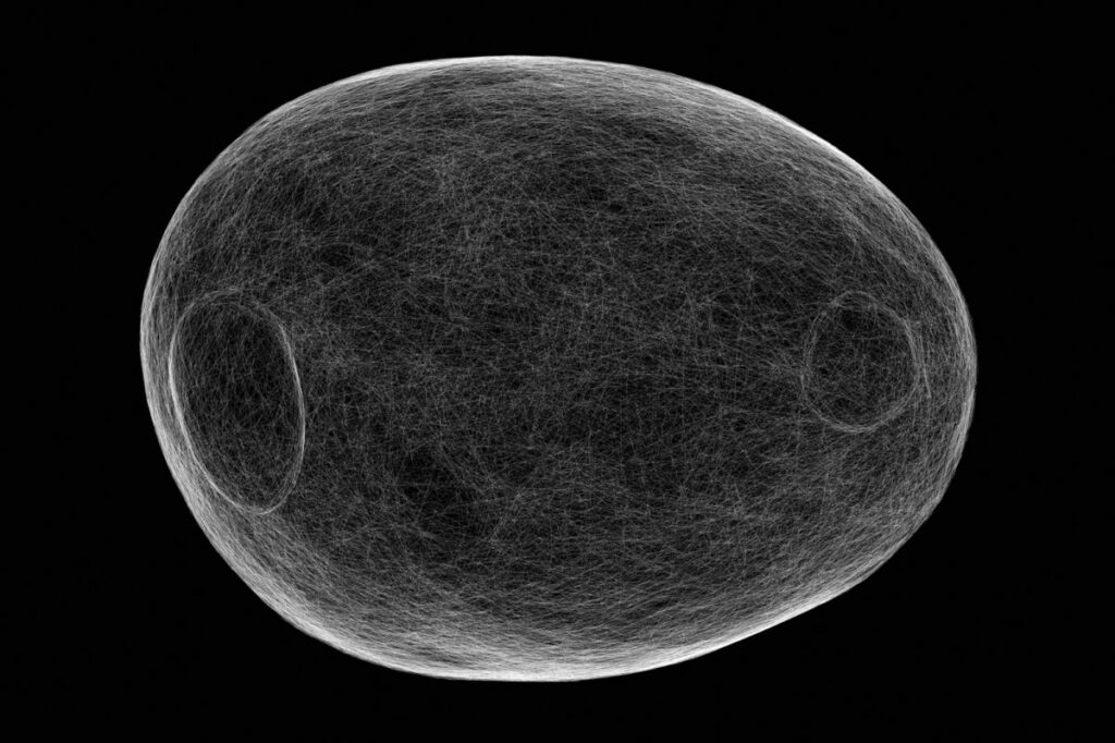 Neri Oxman: Nature inspired design | Design inspired nature | Luxiders