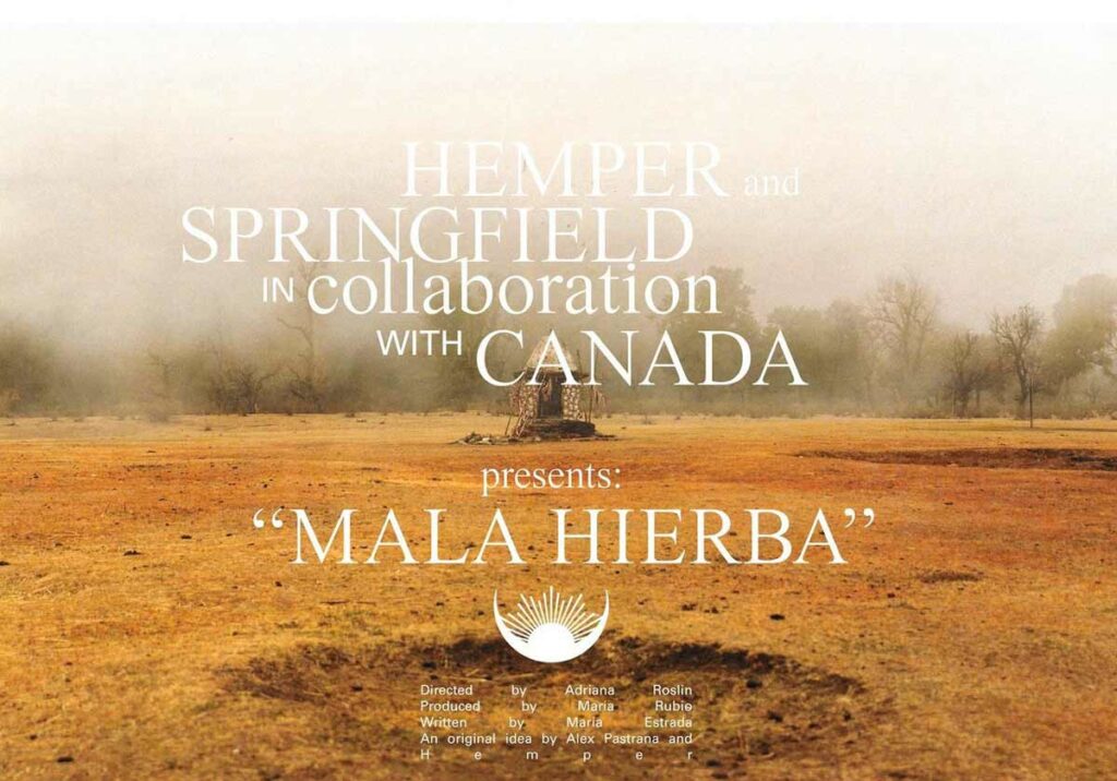 Introducing Hemper: Sustainable Brand and Regenerative Project