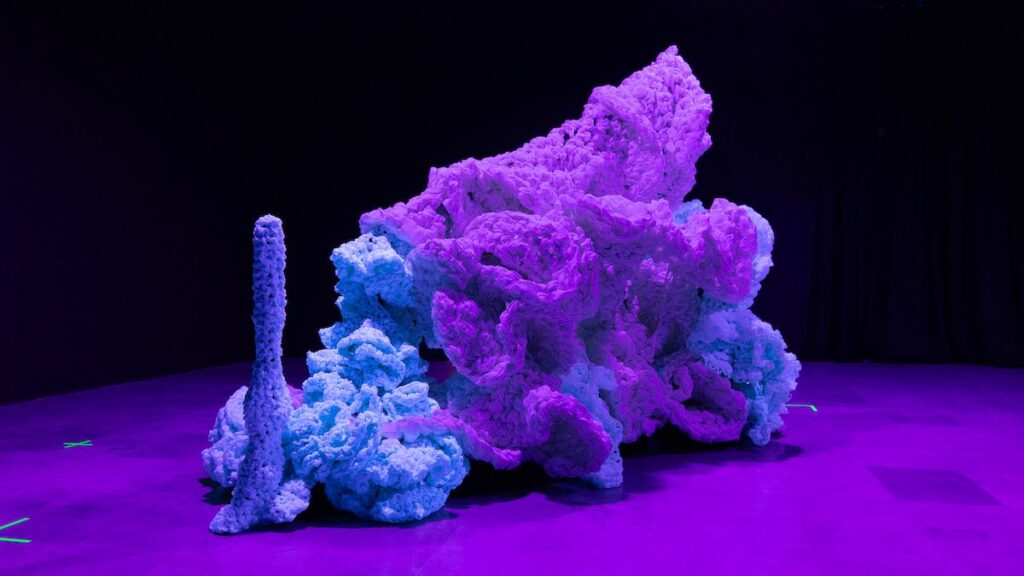 Coral Reef Regenerative Design | Interview With Harald Gründl
