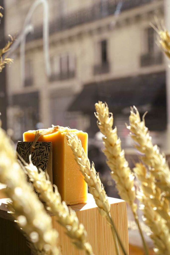 Paris Guide | Best Sustainable Hotspots | Eco-Conscious Tourism
