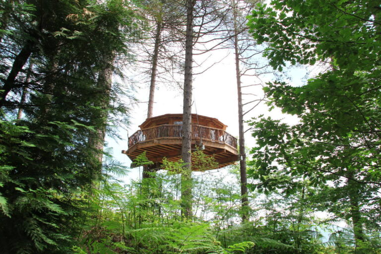 The Most Amazing Tree Houses In The World