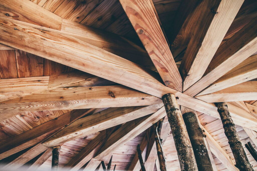 The Most Amazing Tree Houses In The World