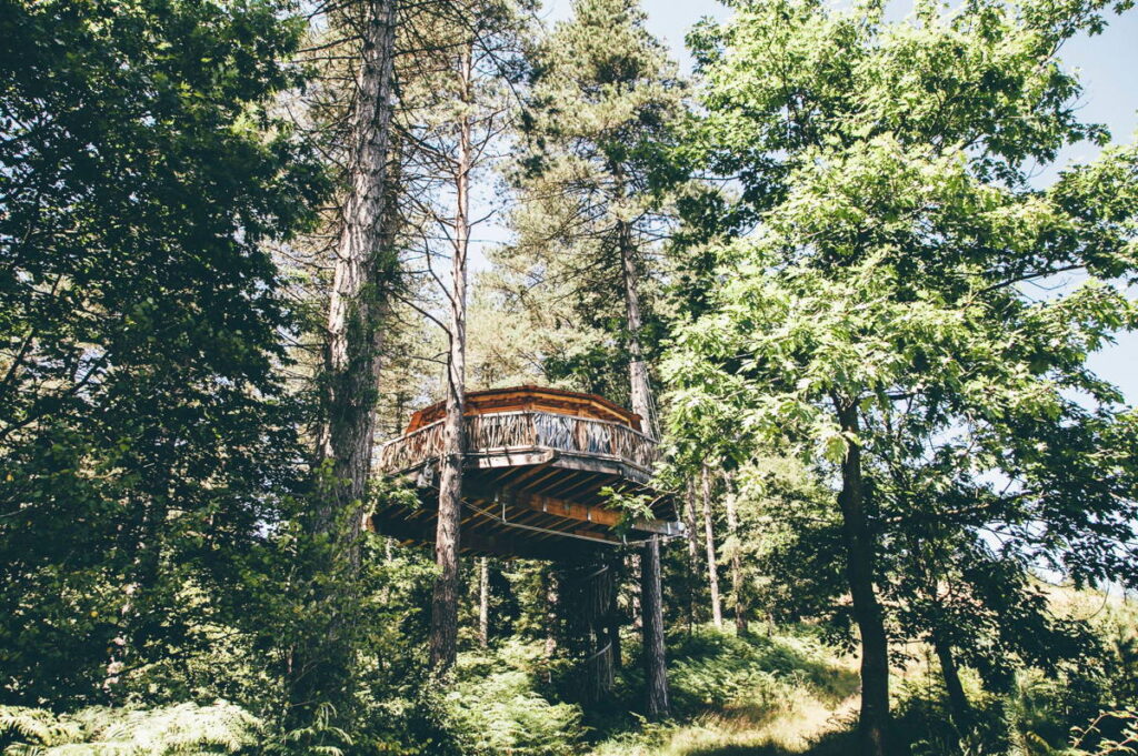 The Most Amazing Tree Houses In The World
