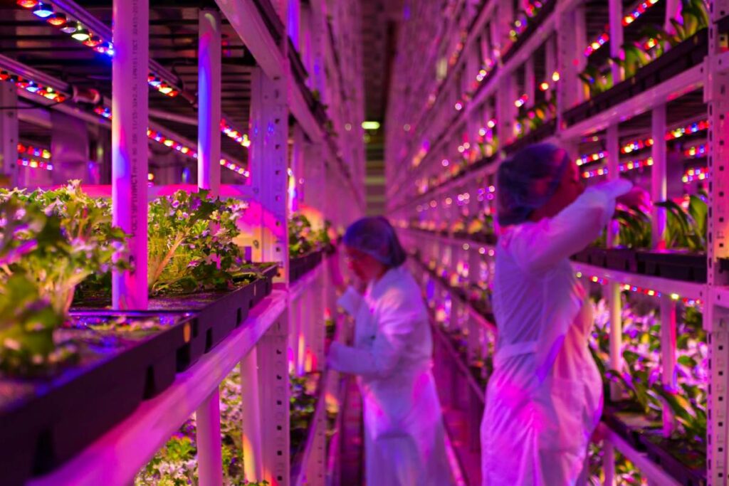 Vertical Farming | Urban Solution for Fresh Food | Luxiders Magazine