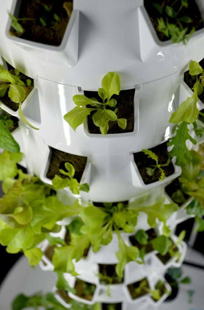 Vertical Farming | Urban Solution for Fresh Food | Luxiders Magazine