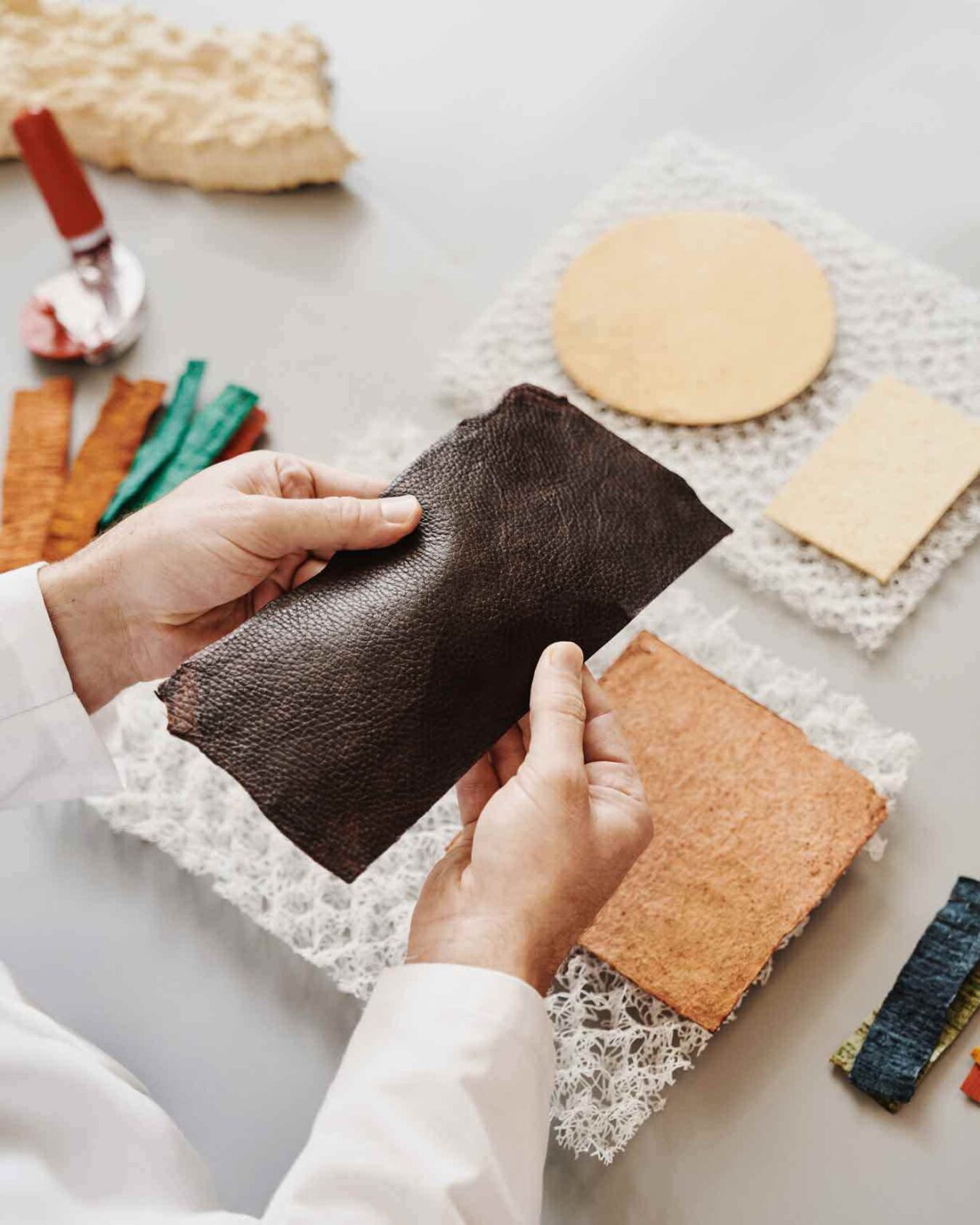 The Rise of Biotechnology in Fashion and Design