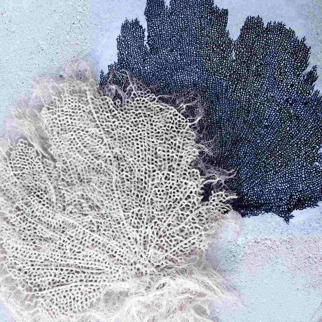What if we Could Grow Clothes from Seeds? | Luxiders Magazine